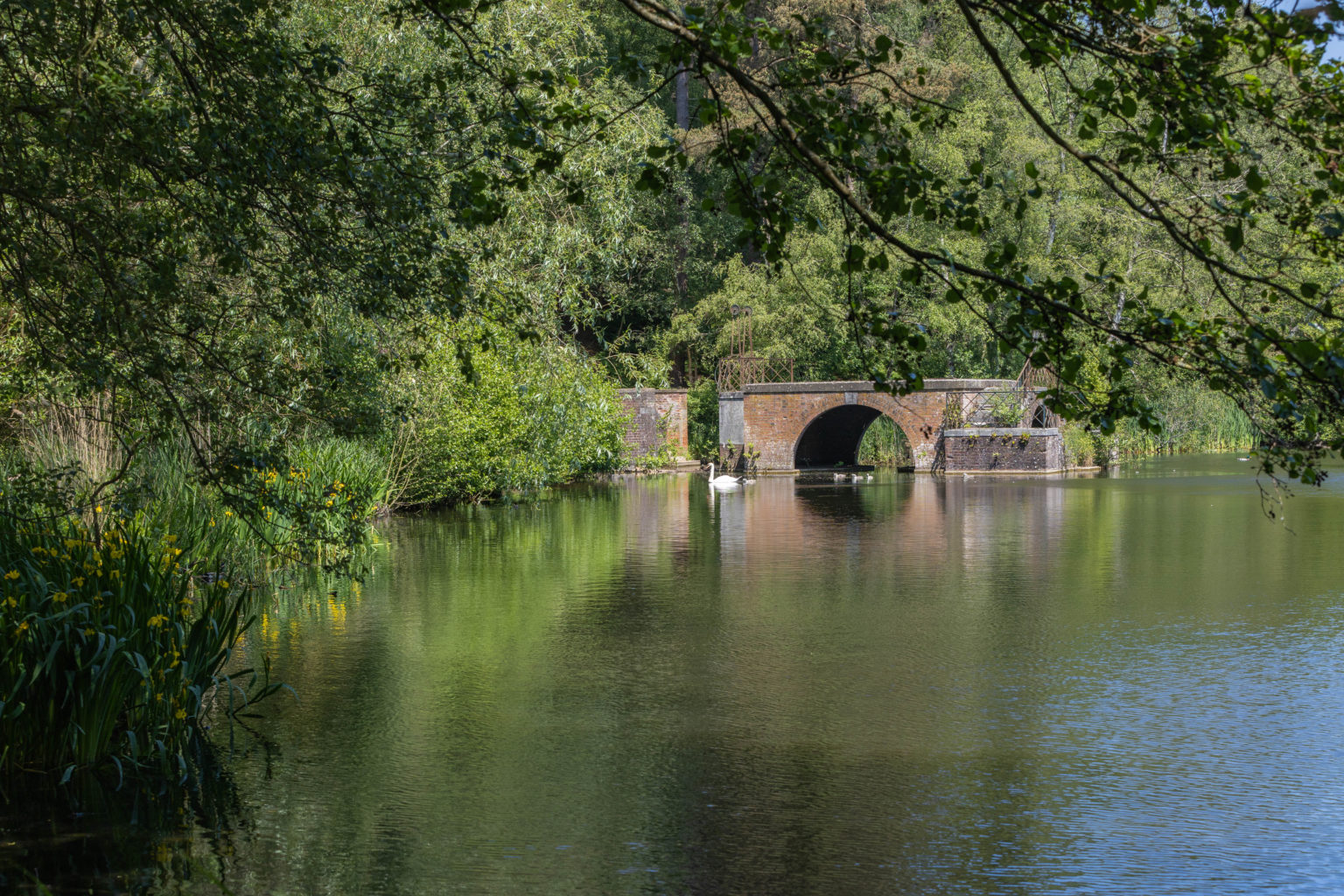Family Days Out in Bedfordshire - Bee Local
