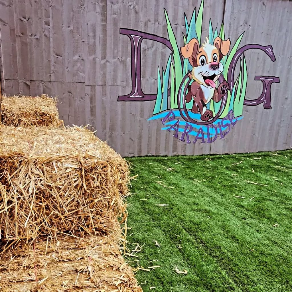 Dog Friendly Leighton Buzzard - Bee Local