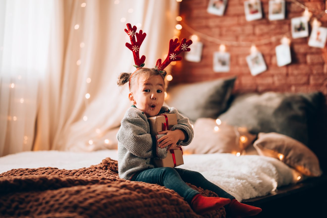 Where to See Fireworks Beds | Bucks | Herts 2025 - Leighton Buzzard ...